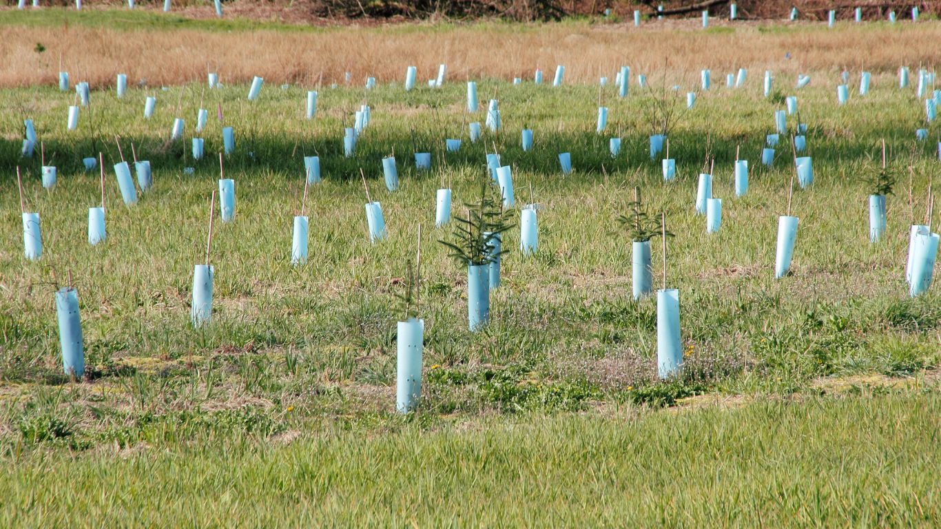 Playing our part to reduce Carbon Footprint - SCE